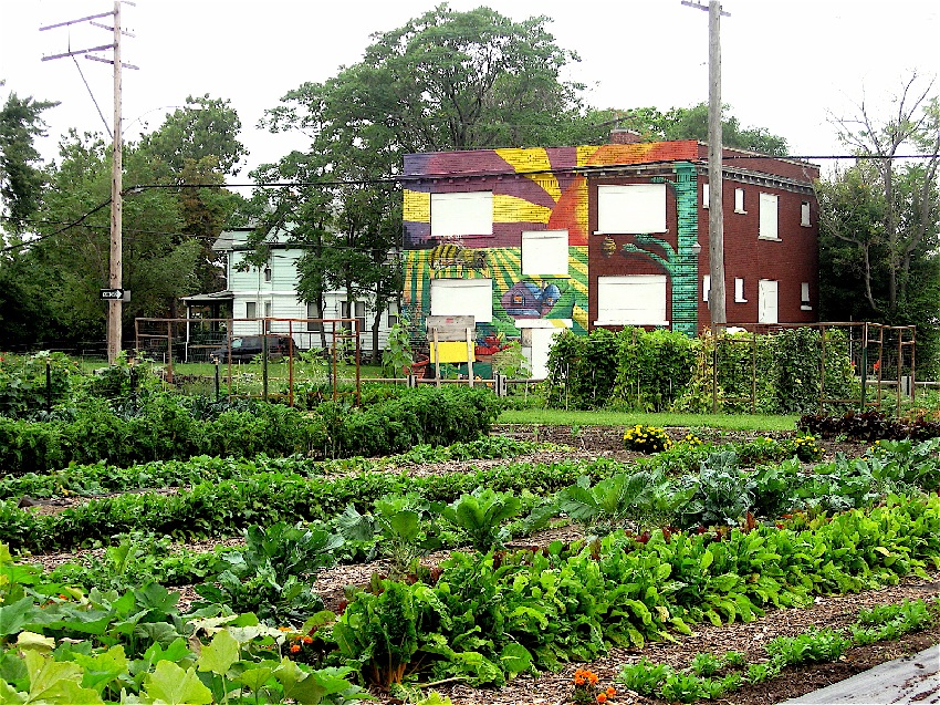 How to Protect an Organic Urban Food Garden - House I Love