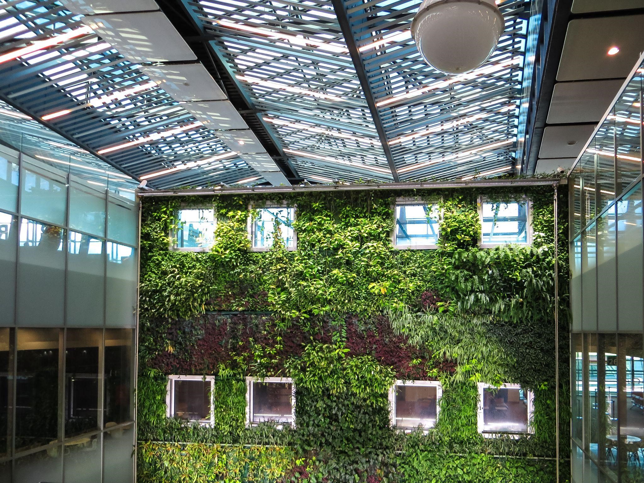 How Long Does A Greenwall Typically Last? - House I Love