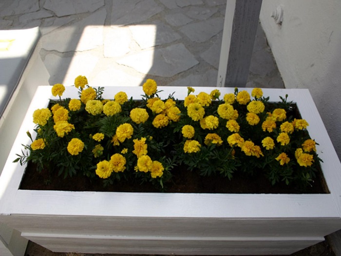 How to create a beautiful flower box outdoor in minutes - House I Love