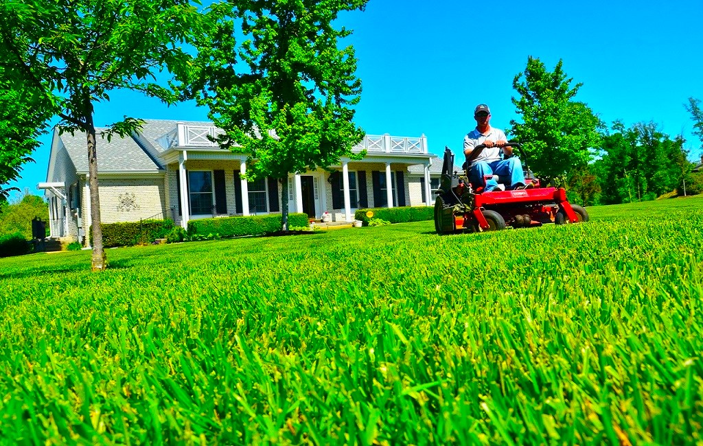 How to Choose a Residential Landscaping Service in Vancouver - House I Love